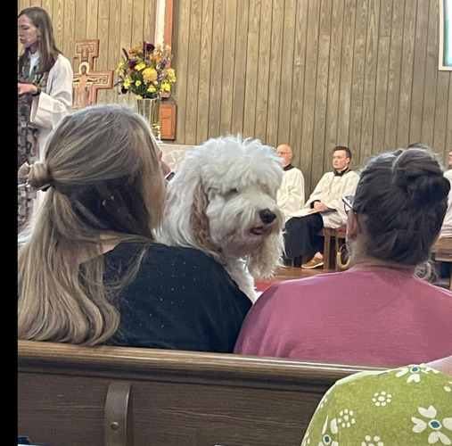 Everyone invited to annual blessing of the animals at Grace Church ...