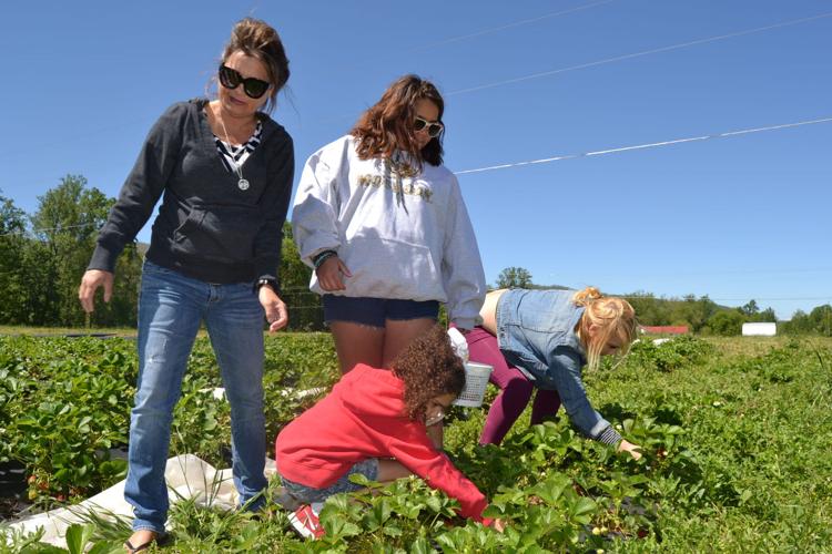 Choose your own adventure on the WNC Farm Tour | Outdoors ...