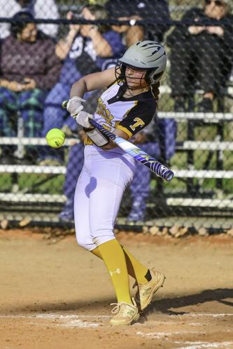 PHOTO GALLERY: Tuscola Softball Vs T.C. Roberson | Sports ...