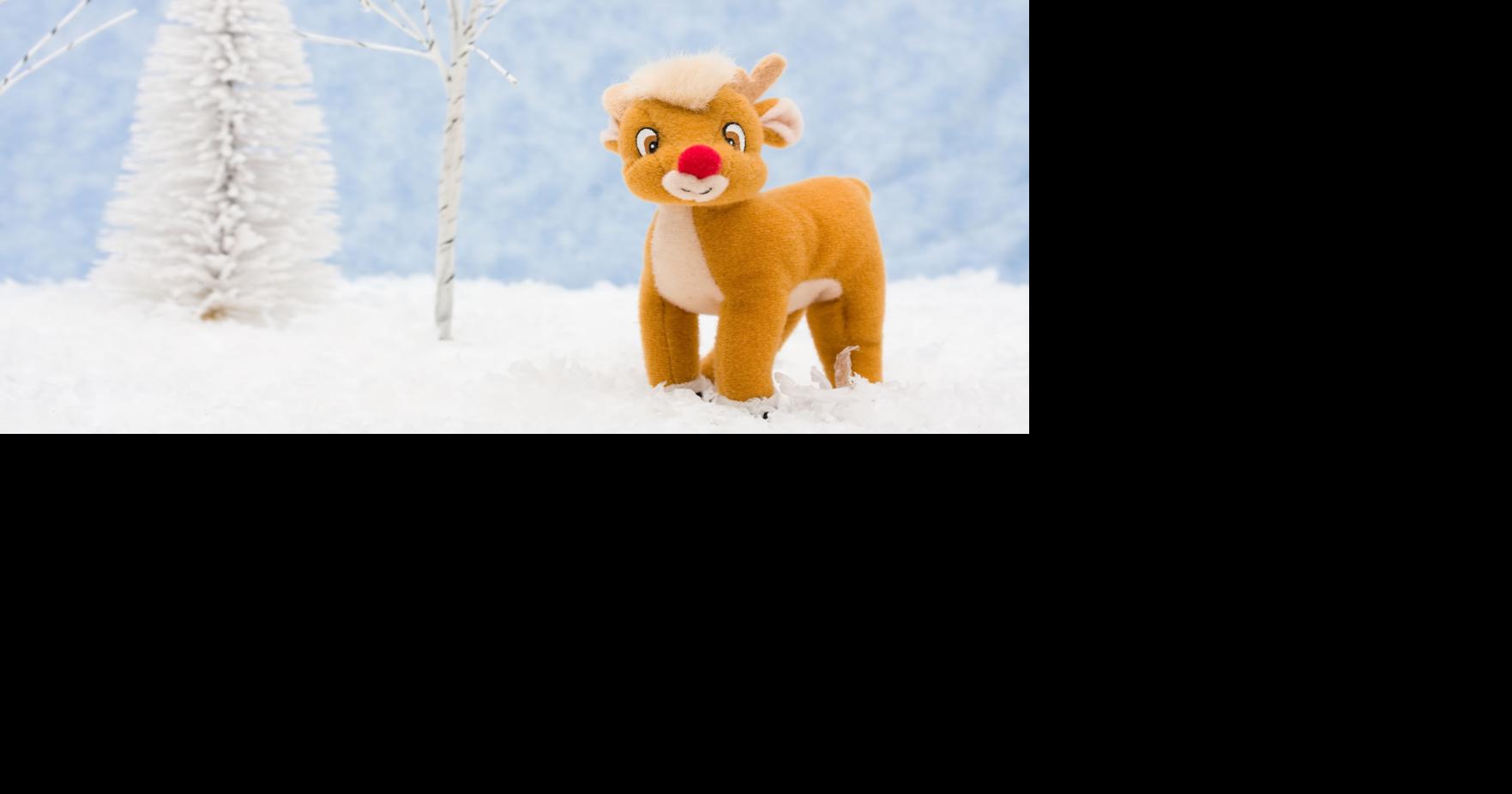 Take a lesson from Rudolph the Red-Nosed Reindeer this Christmas ...