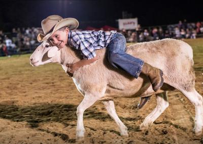 Cowboy up for the Seven Clans Rodeo | The Guide | themountaineer.com