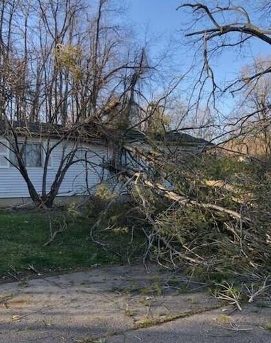 Couple narrowly escapes tree through roof | News | themountaineer.com