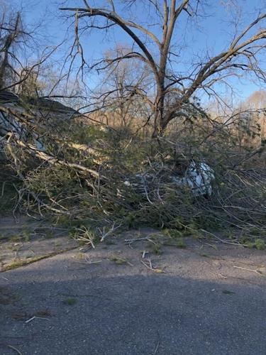 Couple narrowly escapes tree through roof | News | themountaineer.com
