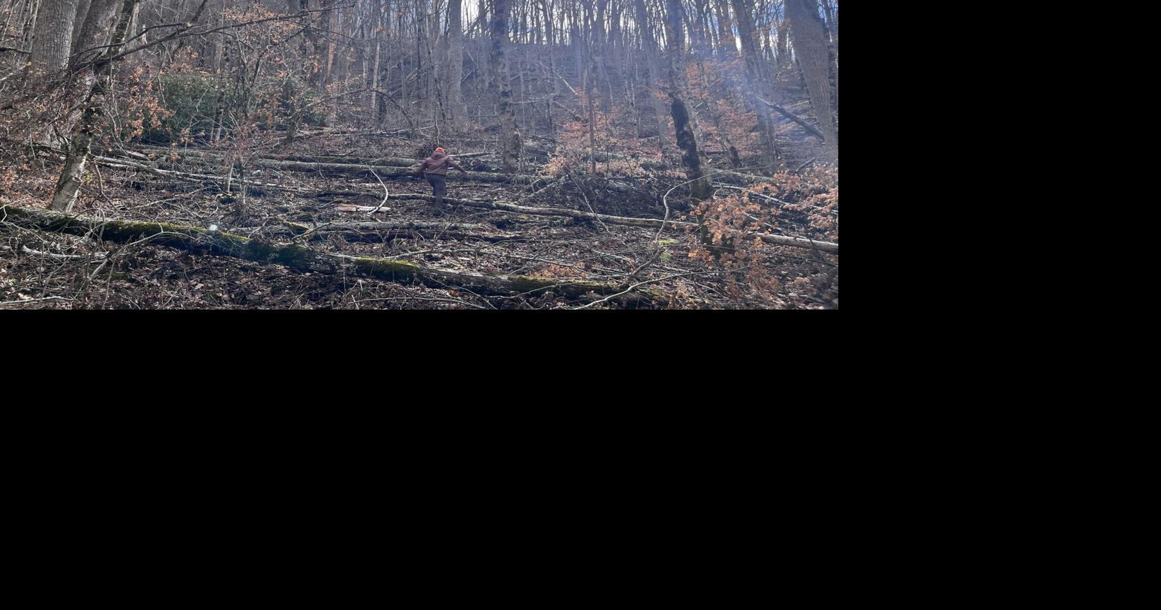 WNC Helene recovery of national forests receives hefty boost | Outdoors ...