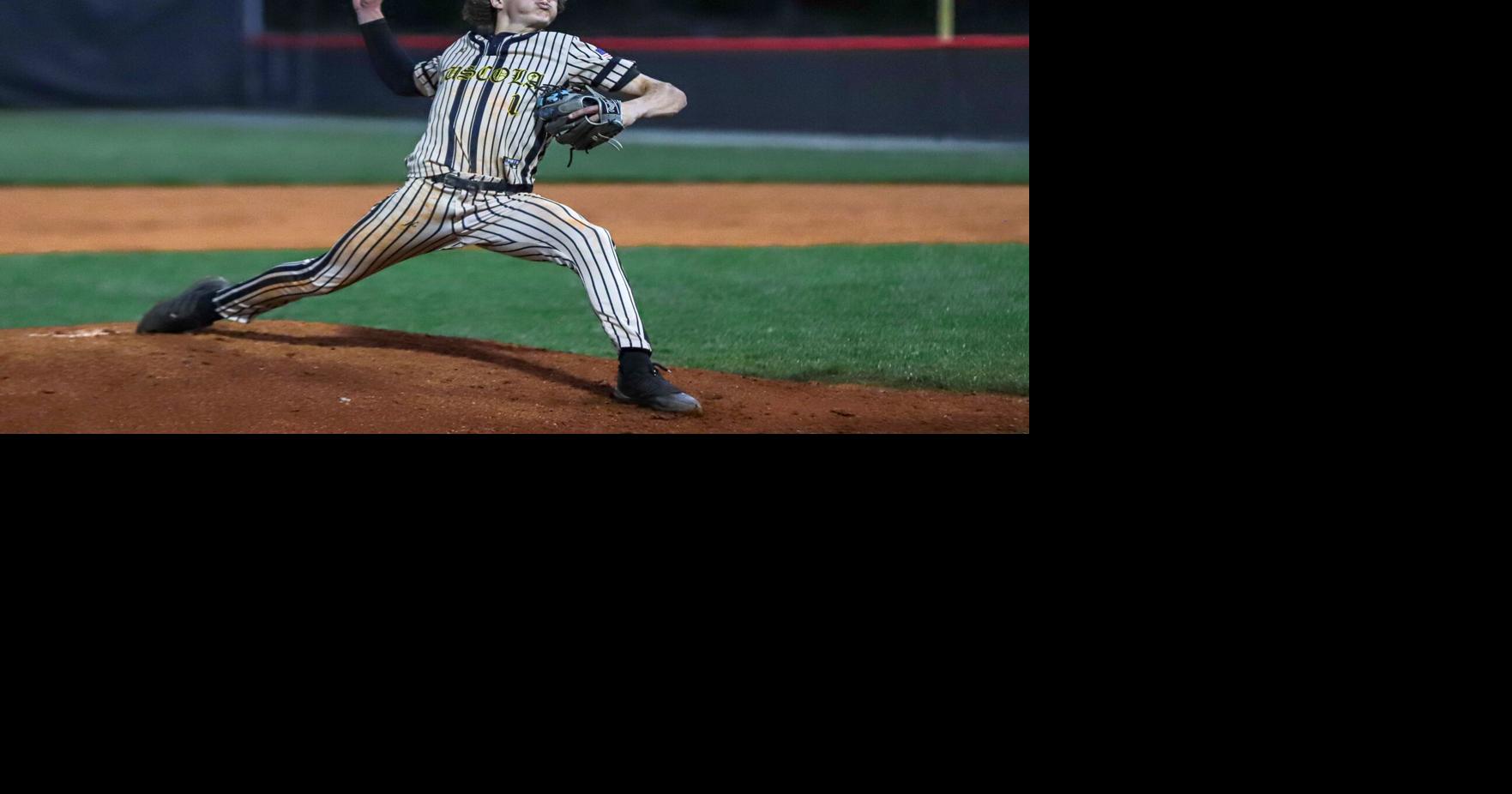 Baseball season preview: Haywood teams to lean on experienced players ...