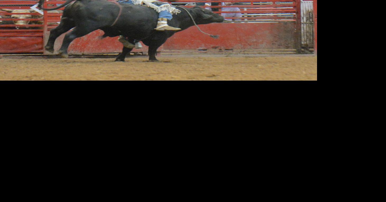 Get rowdy with the Friday night rodeo at the Haywood County Fair | Life ...
