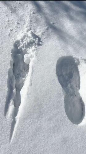 human footprints running