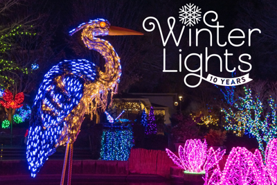 Put some sparkle in your holidays with Winter Lights display at N.C ...
