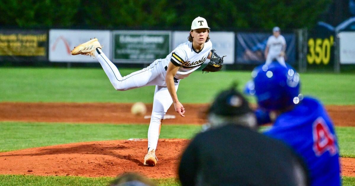 Tuscola junior Amos Rich commits to play baseball at UNC | Sports ...