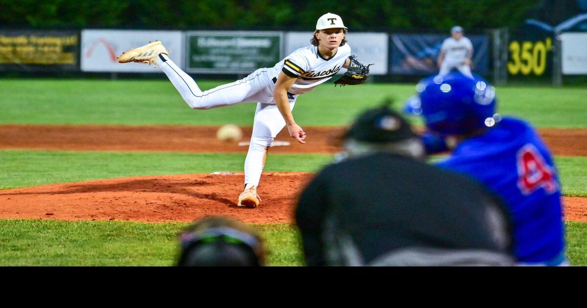 Tuscola junior Amos Rich commits to play baseball at UNC | Sports ...