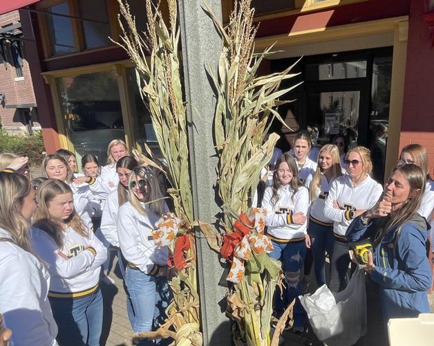 Tuscola cheerleaders deck the halls for fall | Life | themountaineer.com