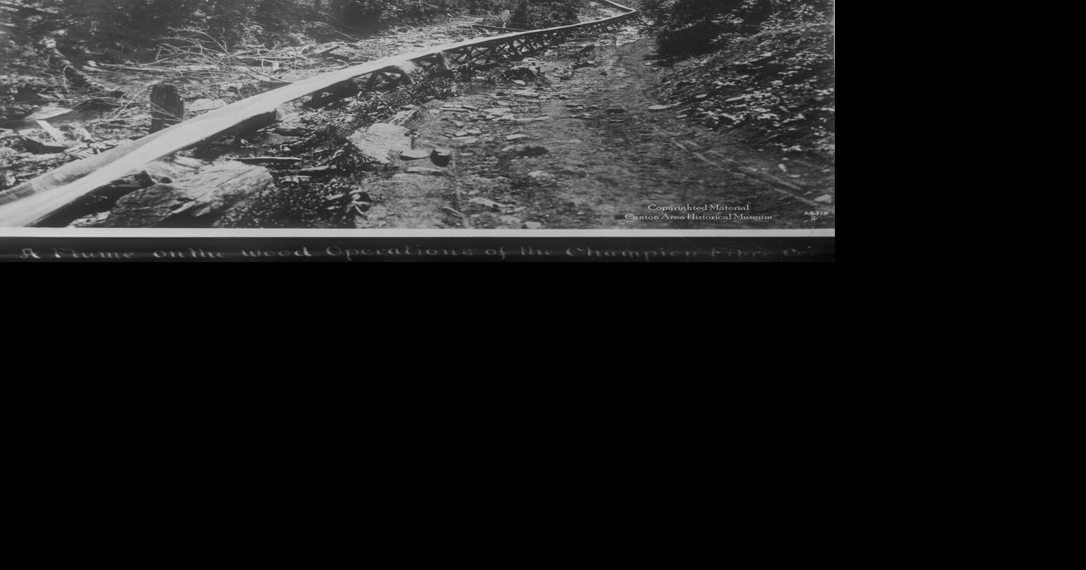 The quest for timber: Logging camps and rail lines penetrate the ...