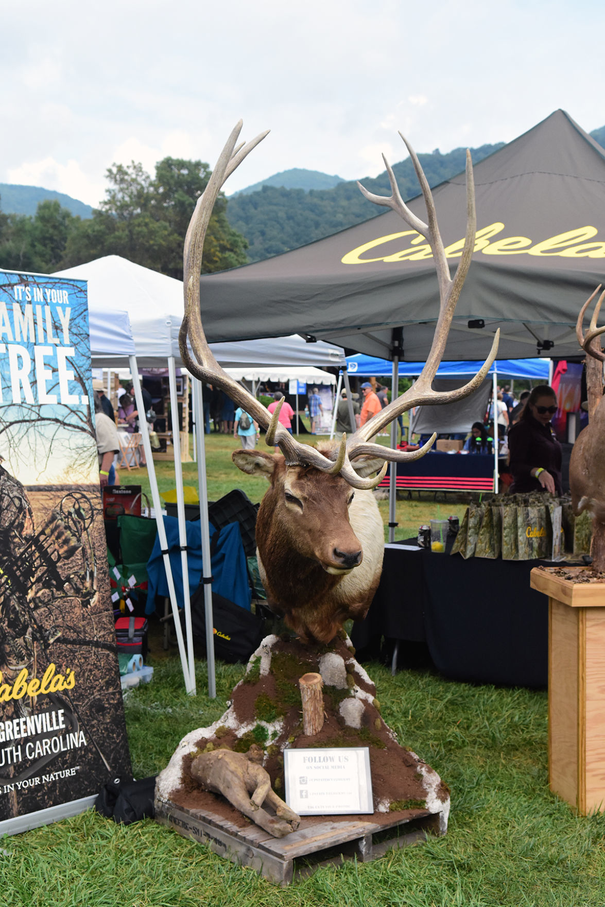 A peek at summer events in Haywood | News | themountaineer.com