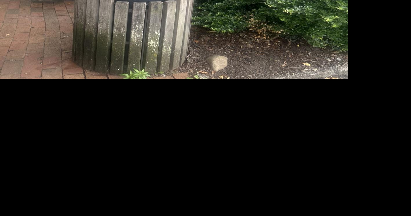 Shabby around the edges? Time to spiffy up downtown Waynesville | News ...