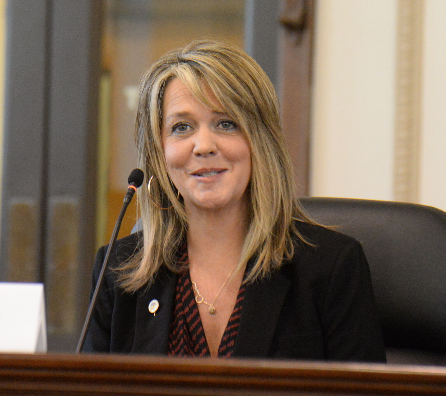 A look at Haywood's commissioner candidates | News | themountaineer.com