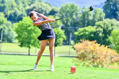Shooting for the stars: Tuscola's top golfer makes her mark at state ...