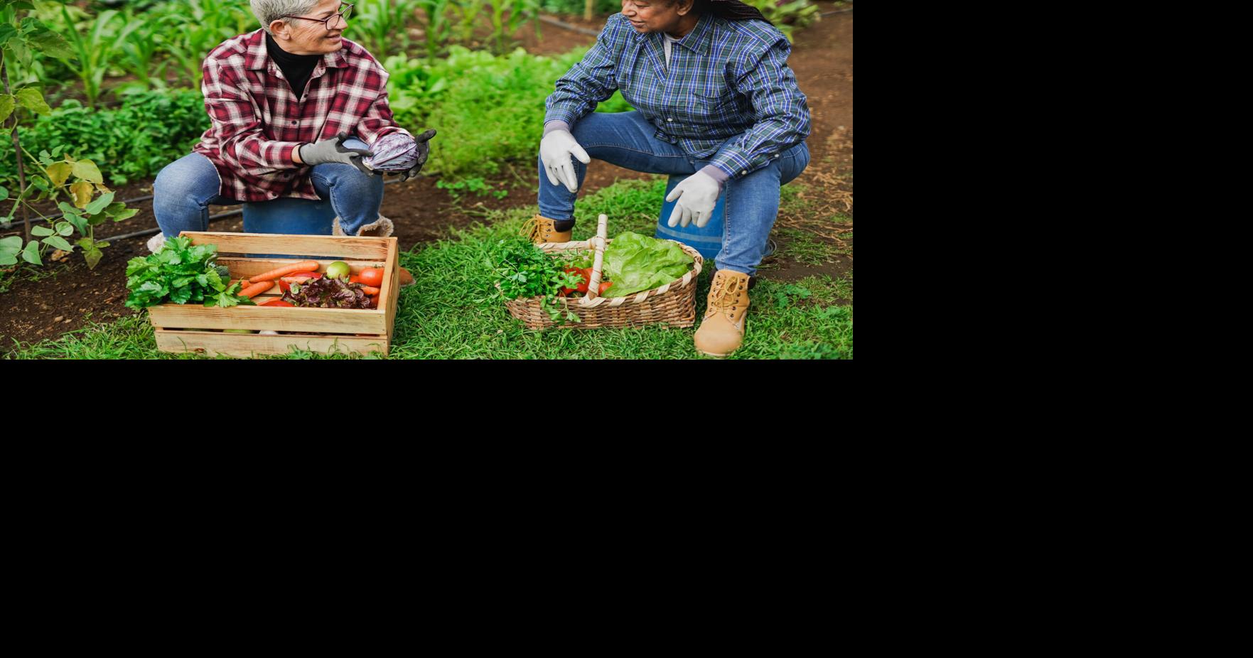 Learn to adapt gardening techniques for lifelong gardening | Outdoors ...