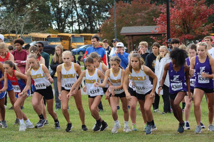 Tuscola cross country runners earn spots in state finals | Sports ...