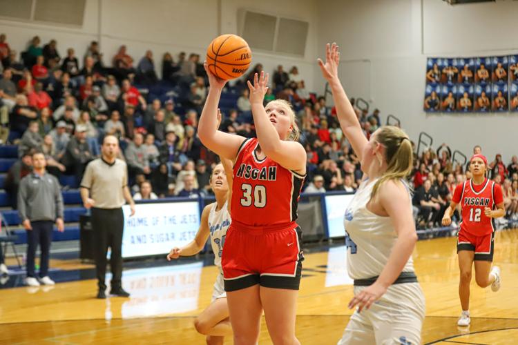 PHOTO GALLERY: Pisgah basketball vs. Enka (boys and girls) | Sports ...