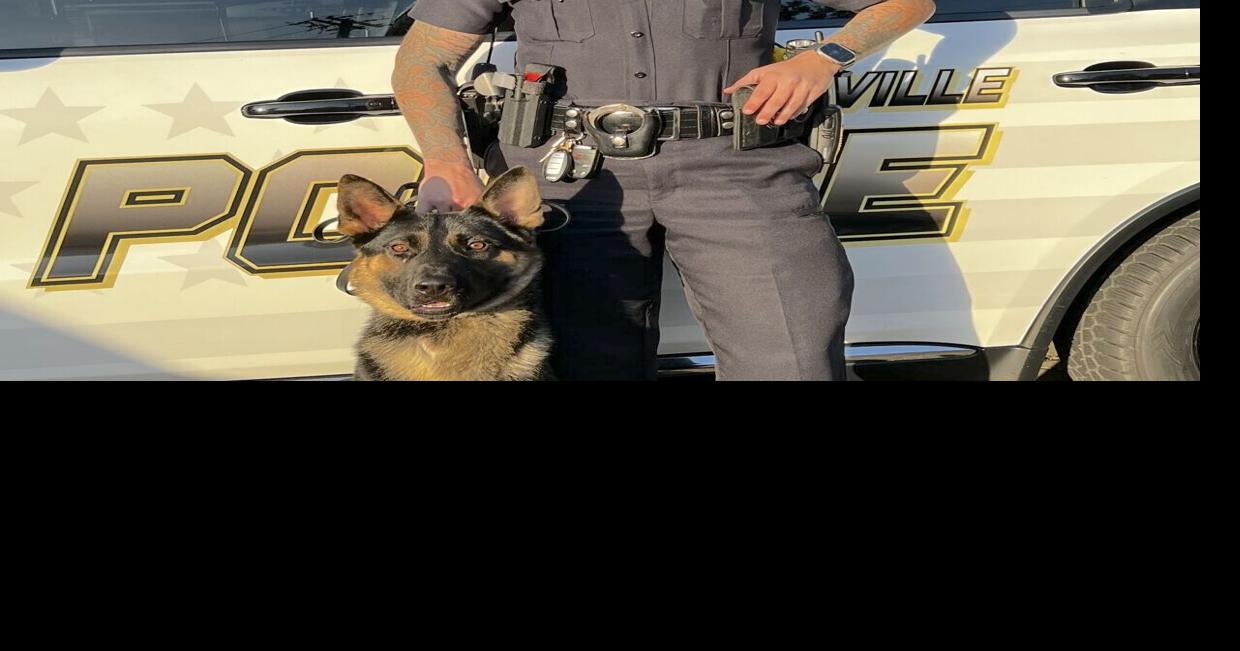 Women of the Waynesville Police Department: no glass ceiling here ...