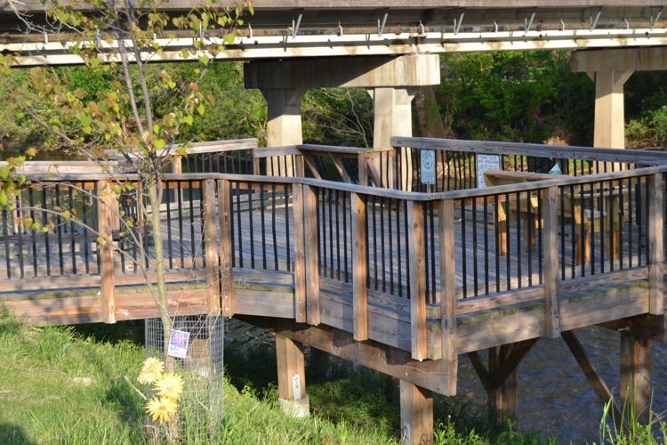 A stroll around the Canton Recreation Park | News | themountaineer.com