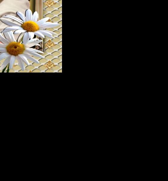 Rosemary Rodreques | Obituaries | themountaineer.com