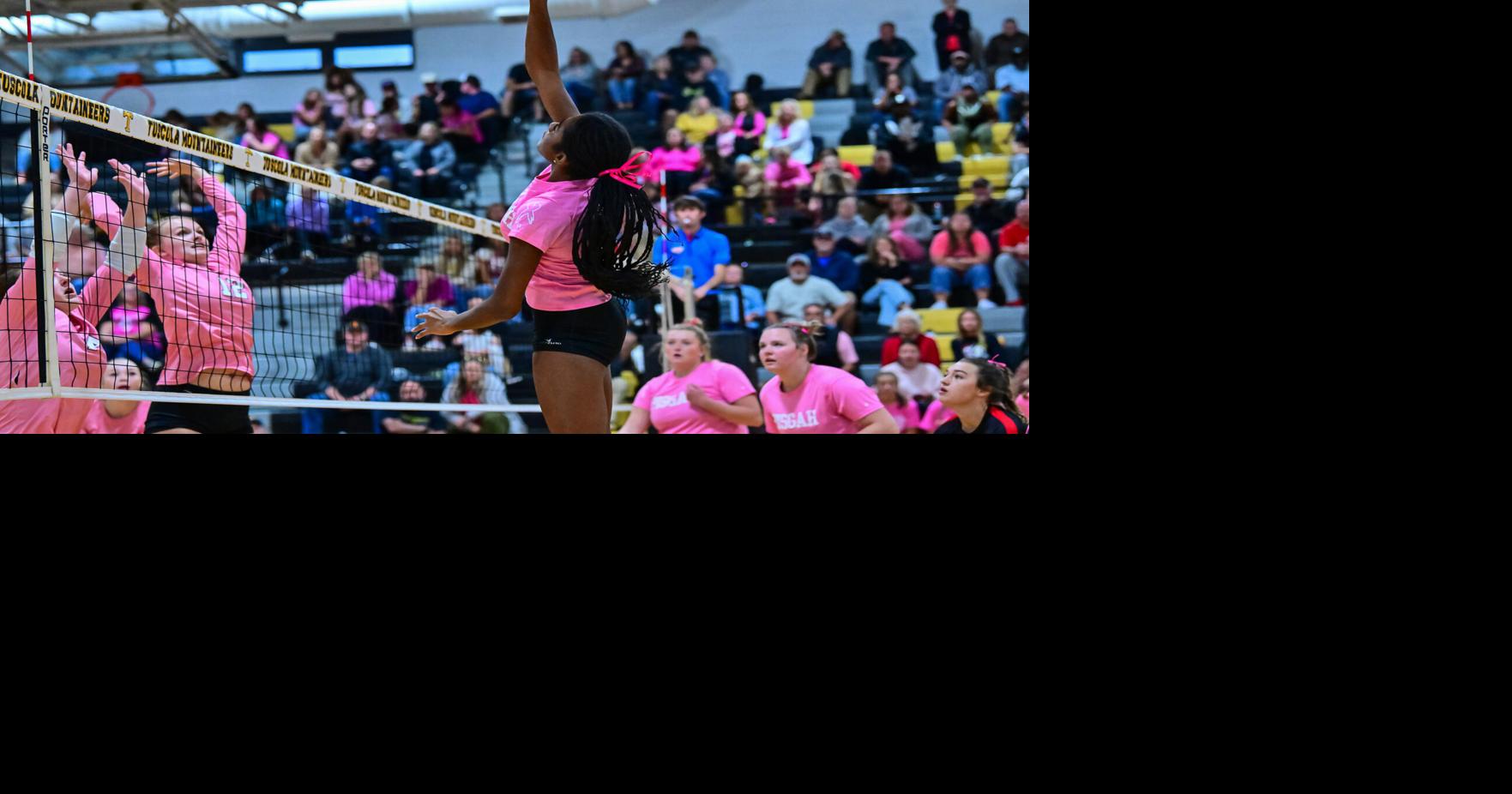 Strong group of seniors lead the way on All-County Volleyball team ...