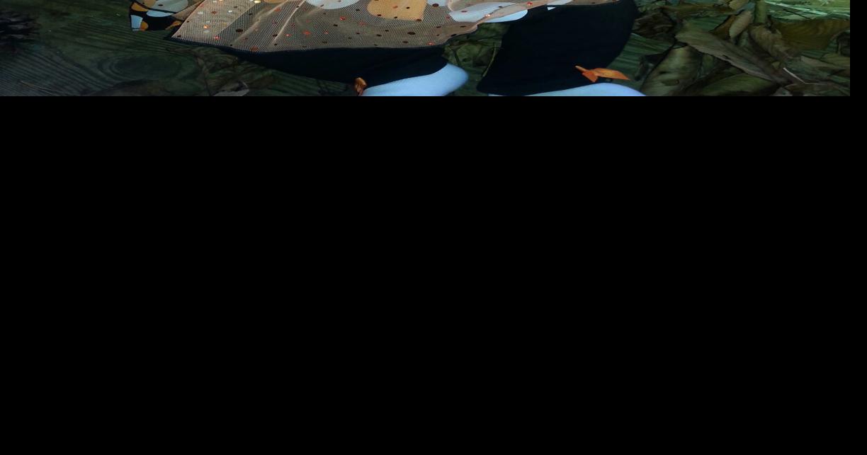 Best fall photo contest winners | Arts Entertainment | themountaineer.com