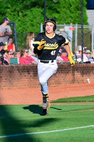 PHOTO GALLERY: Tuscola baseball's final playoff game | Sports ...