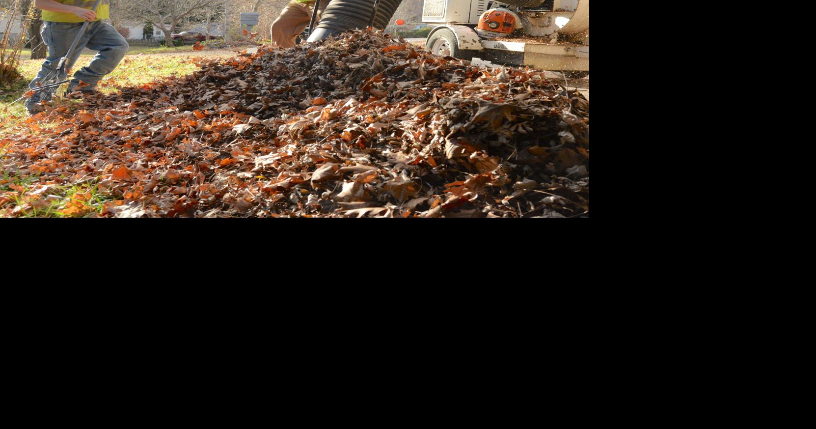 Full-scale fall leaf assault: 'They all turned loose at once' | News ...