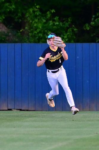 PHOTO GALLERY: Tuscola baseball's final playoff game | Sports ...
