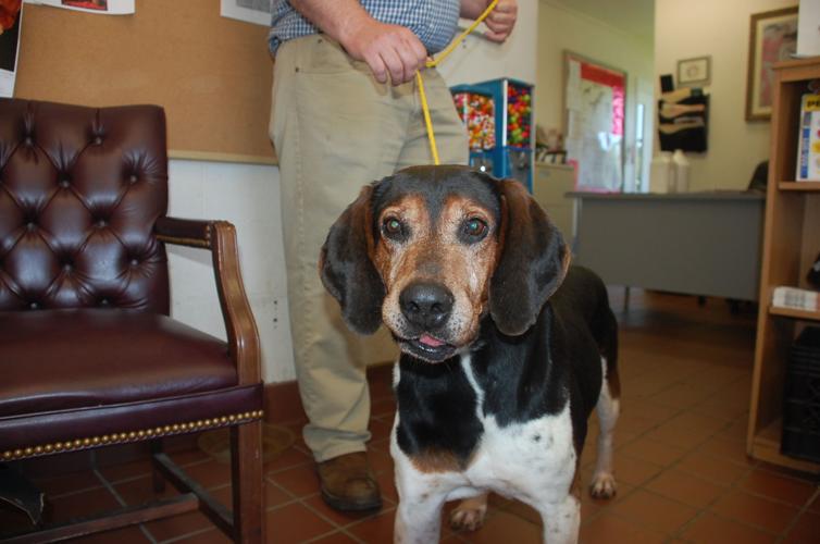 Saved by the three C's: Caring, cooperation, community | News ...