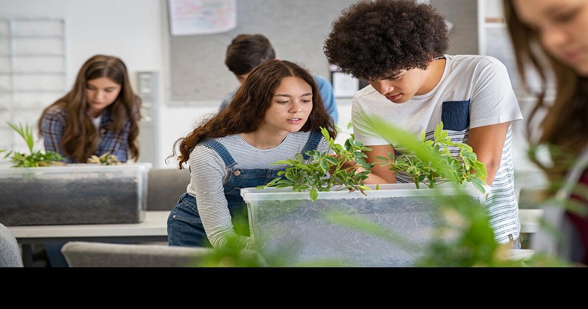 Nature Teens to explore sustainable resources | Outdoors ...