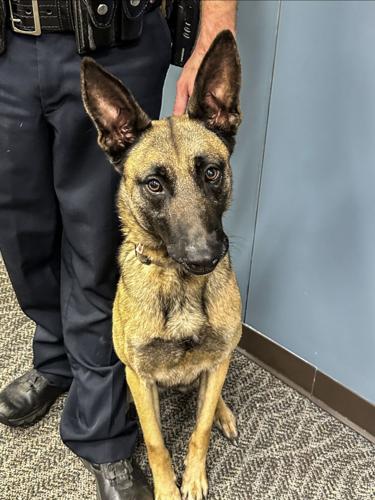 Waynesville Police K9 Fund receives $1,000 donation | Life ...