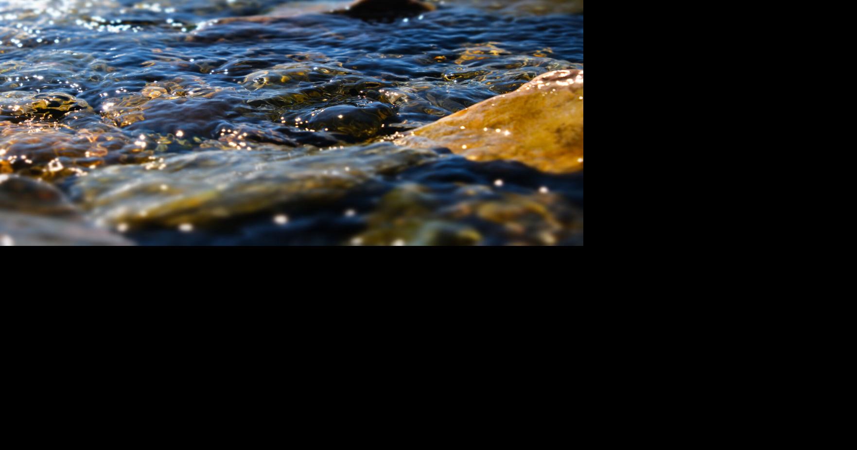 Pigeon River Fund supports Haywood water and land protection | Outdoors ...