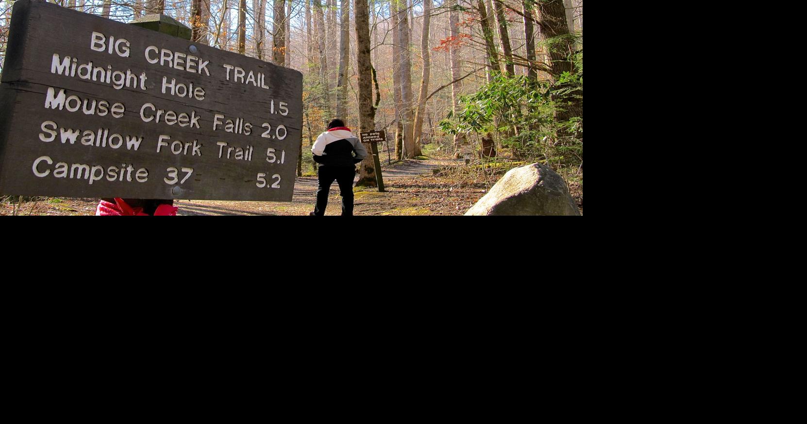 Mouse Creek Falls | Outdoors | themountaineer.com