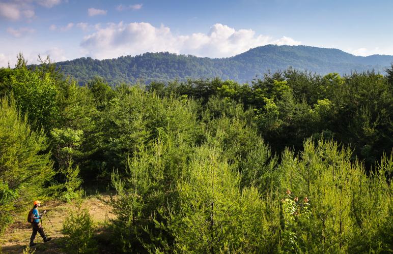 Canton's newest development effort — acquiring a mountain | Local News ...