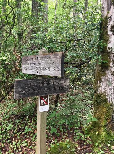 Explore the Boogerman Trail | Outdoors | themountaineer.com