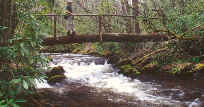 Hike the Boogerman Trail with Haywood Waterways | Outdoors ...