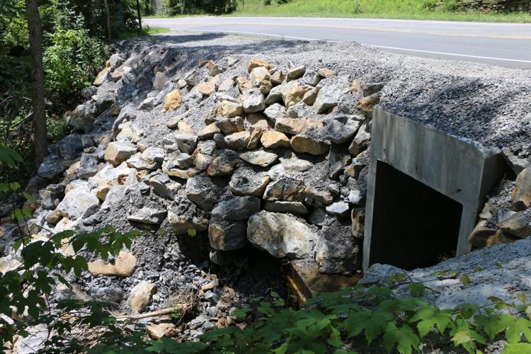 Stream debris removal is key to future flood prevention | News ...