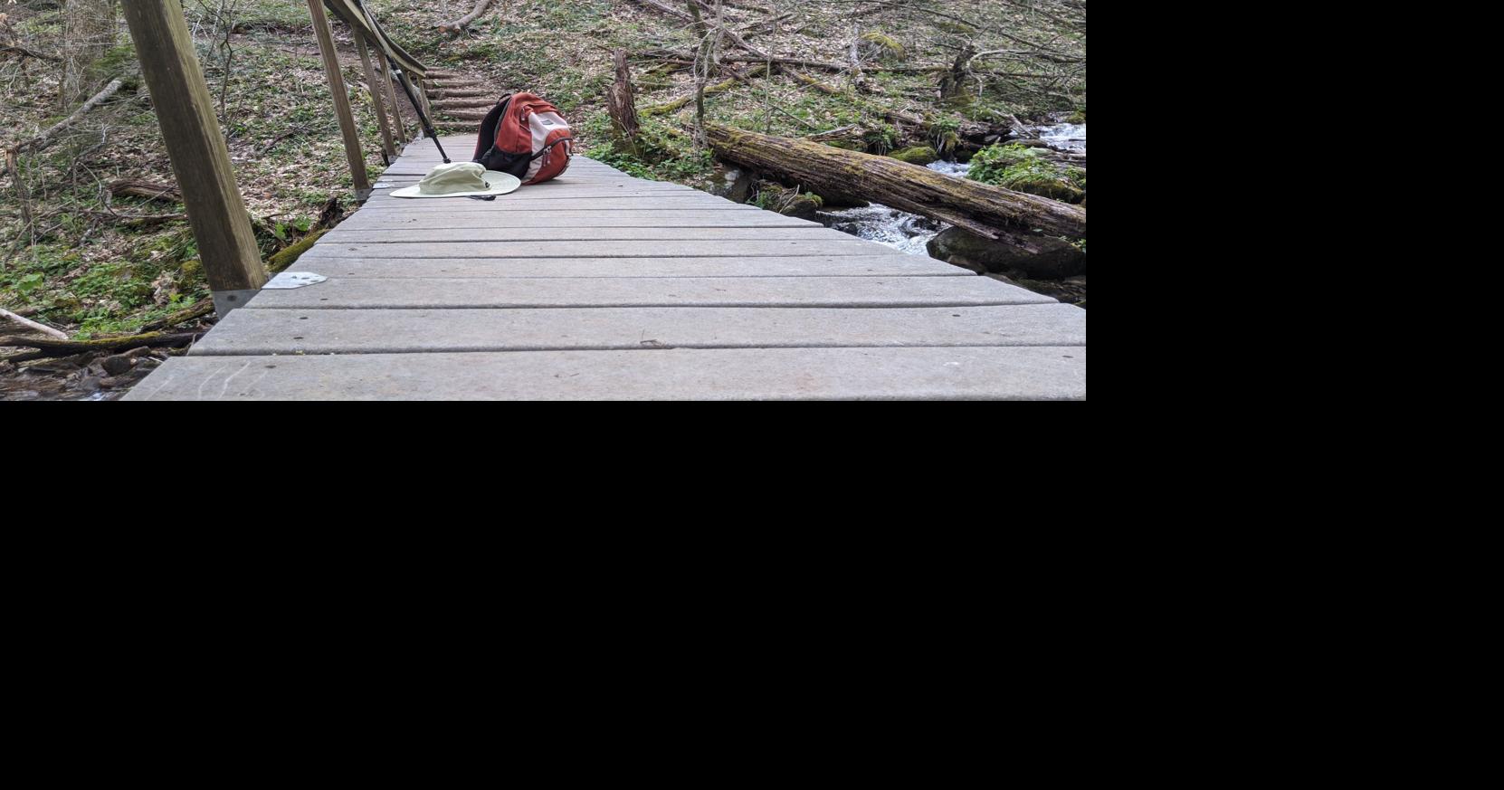 Join a guided hike on Haywood’s high-elevation Mountains to Sea leg ...
