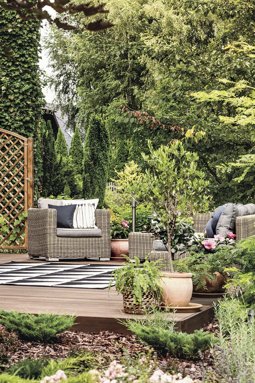 Elevate your yard: how to garden with height in mind | Outdoors ...