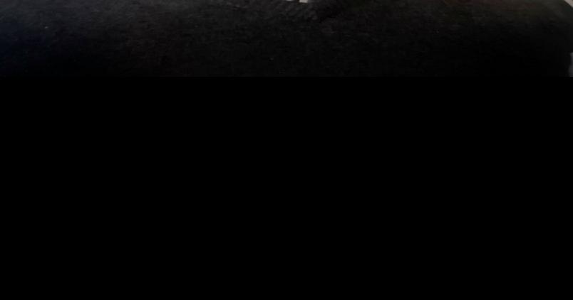 Bobby 'Bob' Killian | Obituaries | themountaineer.com