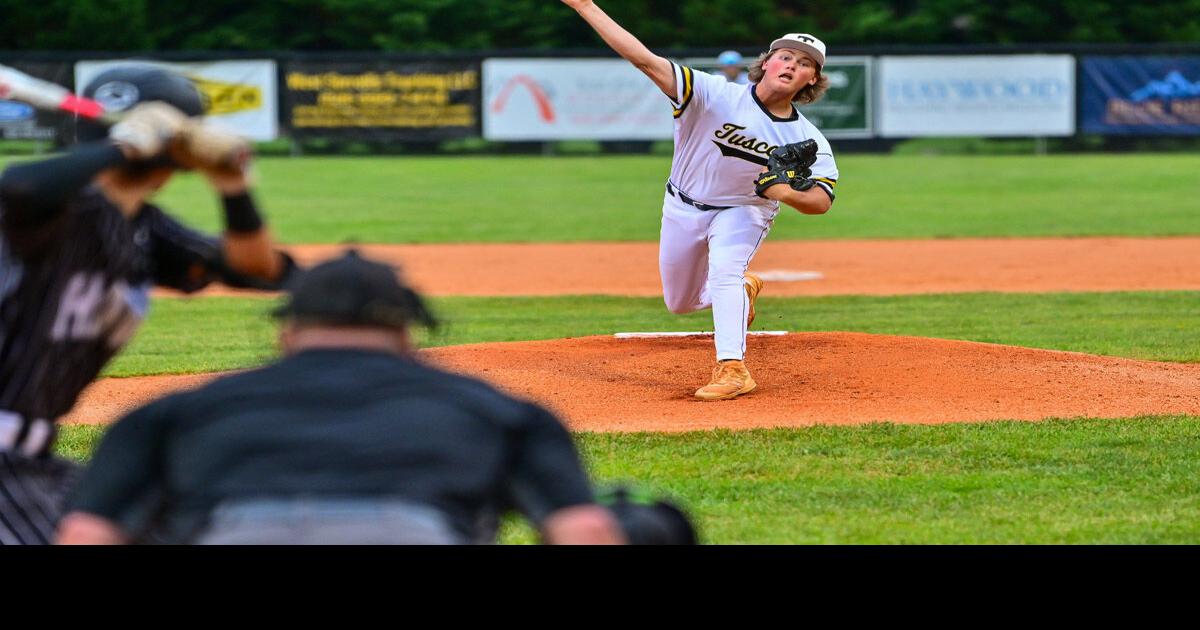 PHOTO GALLERY: Tuscola Baseball Senior Night vs North Buncombe | Sports ...