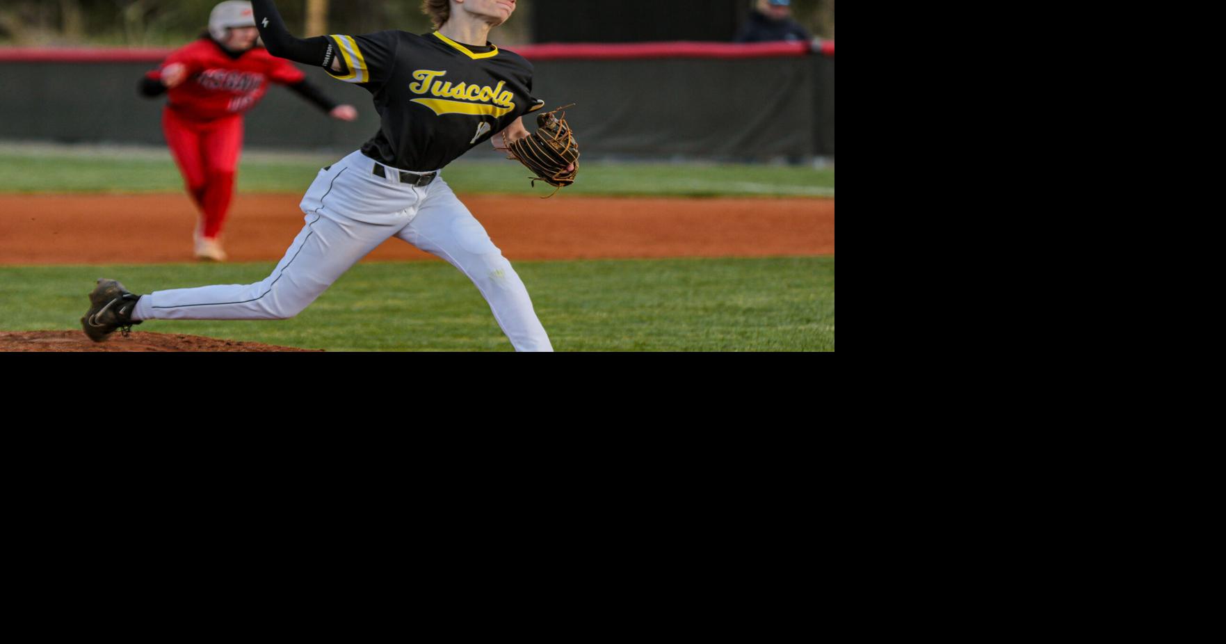 Three Haywood County teams set for baseball, softball state tournaments ...