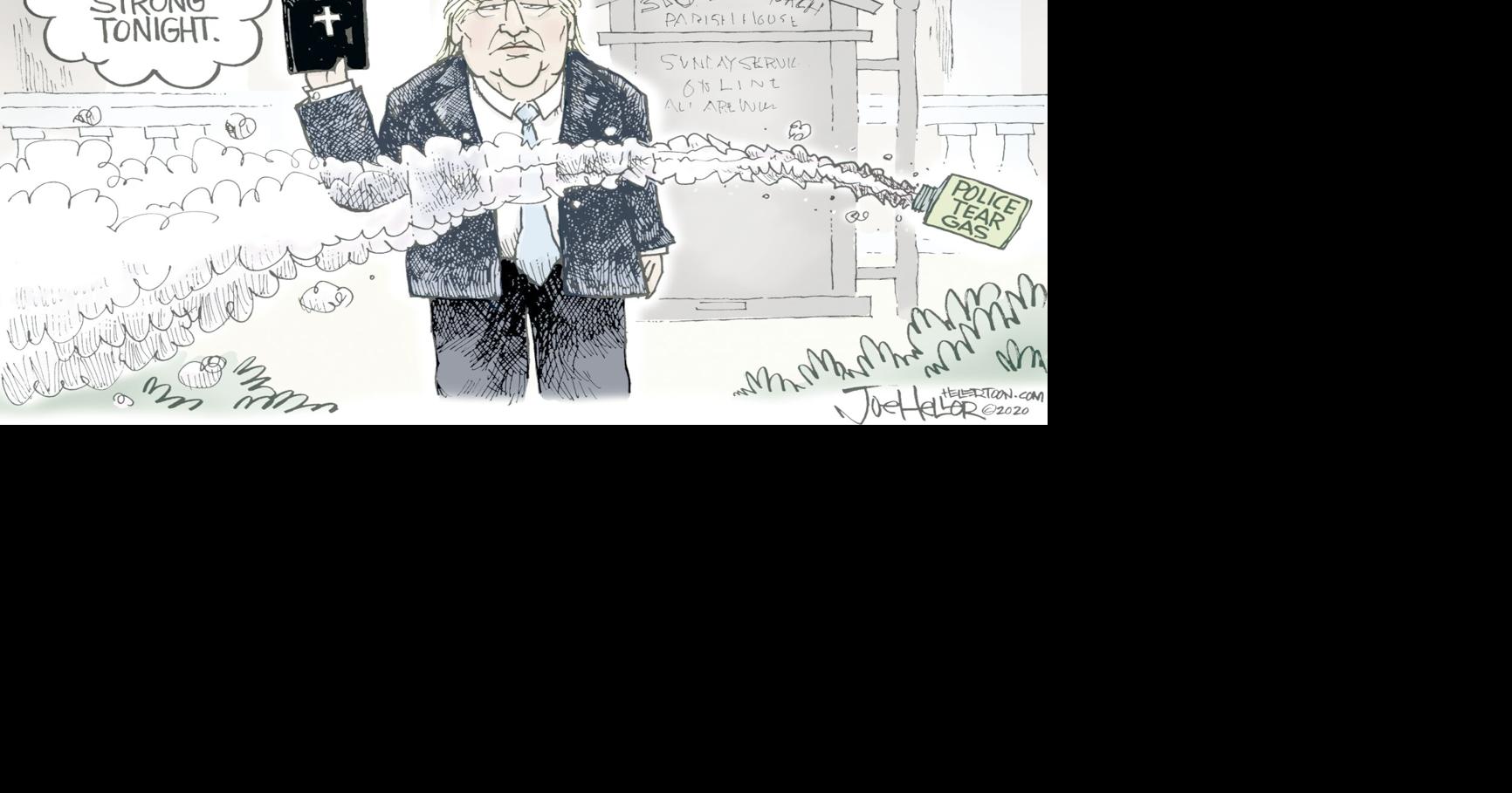 Cartoon, June 6 | Cartoons | themountaineer.com