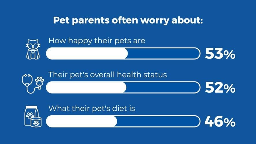 What do pet parents worry about the most? | National | themountaineer.com