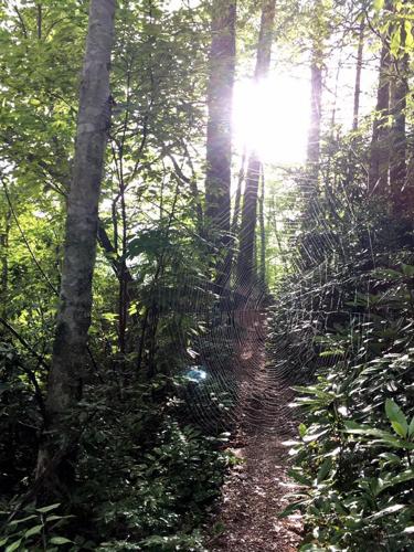 Explore the Boogerman Trail | Outdoors | themountaineer.com