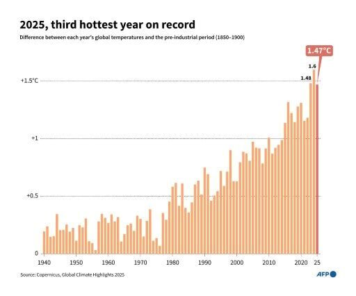 2025 was third hottest year on record: climate monitors | National ...
