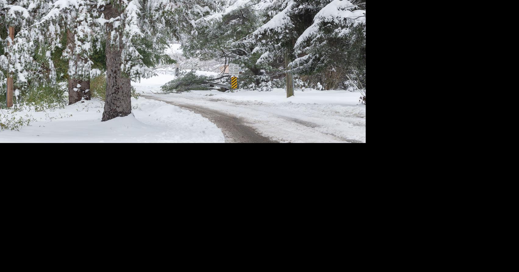 Heavy snow, downed limbs slowed power restoration | 2018 Winter Storm ...